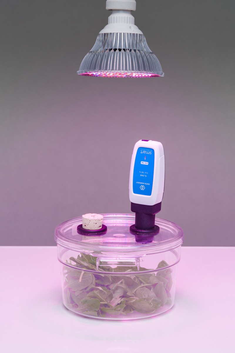 Data Harvest - Data Harvest - Wireless Oxygen In Air Sensor